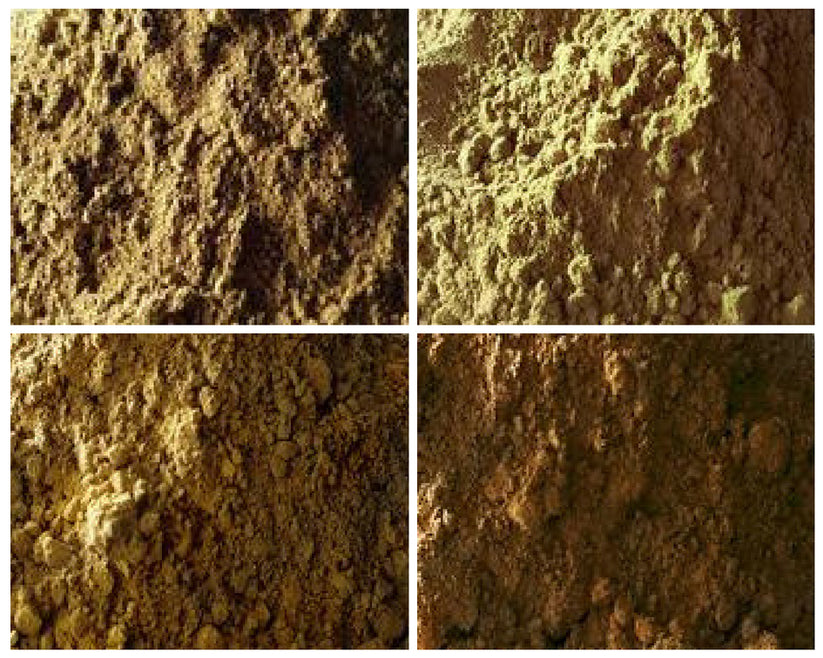 Texas Red – Texas Herbs and Botanicals